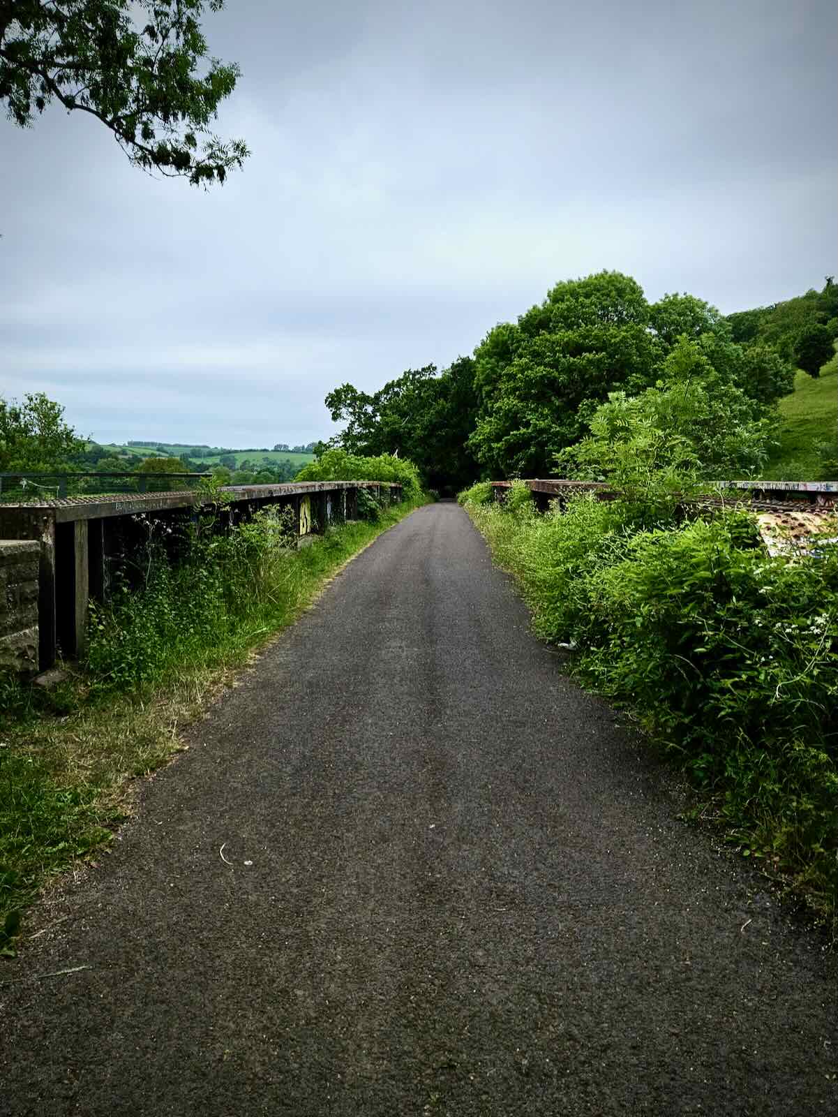 Riding the Bristol and Bath Railway Path – Dom Cycling