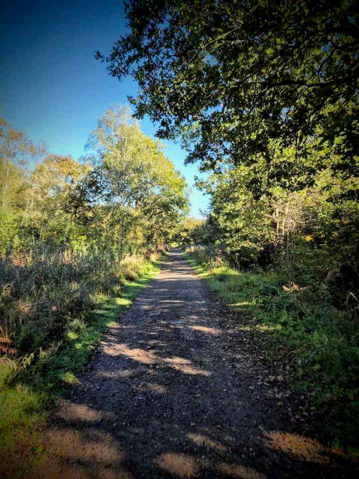 The Crab and Winkle Way, a walking and cycling route from Canterbury to ...
